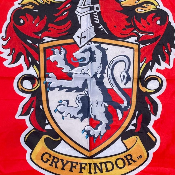 Warner Bros. | Art | Harry Potter Gryffindor Pennant Flag | Poshmark